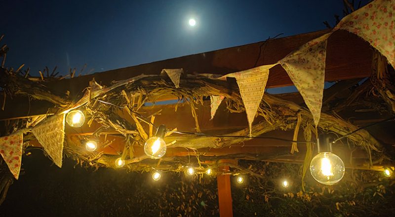 L.A.NOVA Solar IP44 Festoon LED String Lights - Full Review