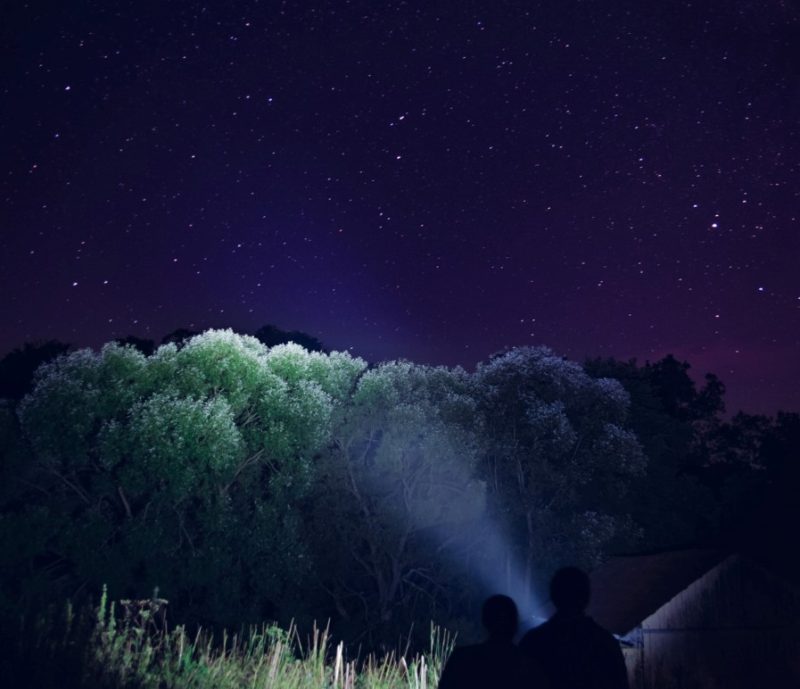 How Bright is 1200 Lumens? Your Lumens Brightness Guide