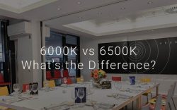 6000K vs 6500K : What's the Difference?