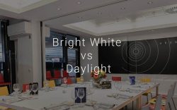 Bright White vs Daylight : What's the Difference?